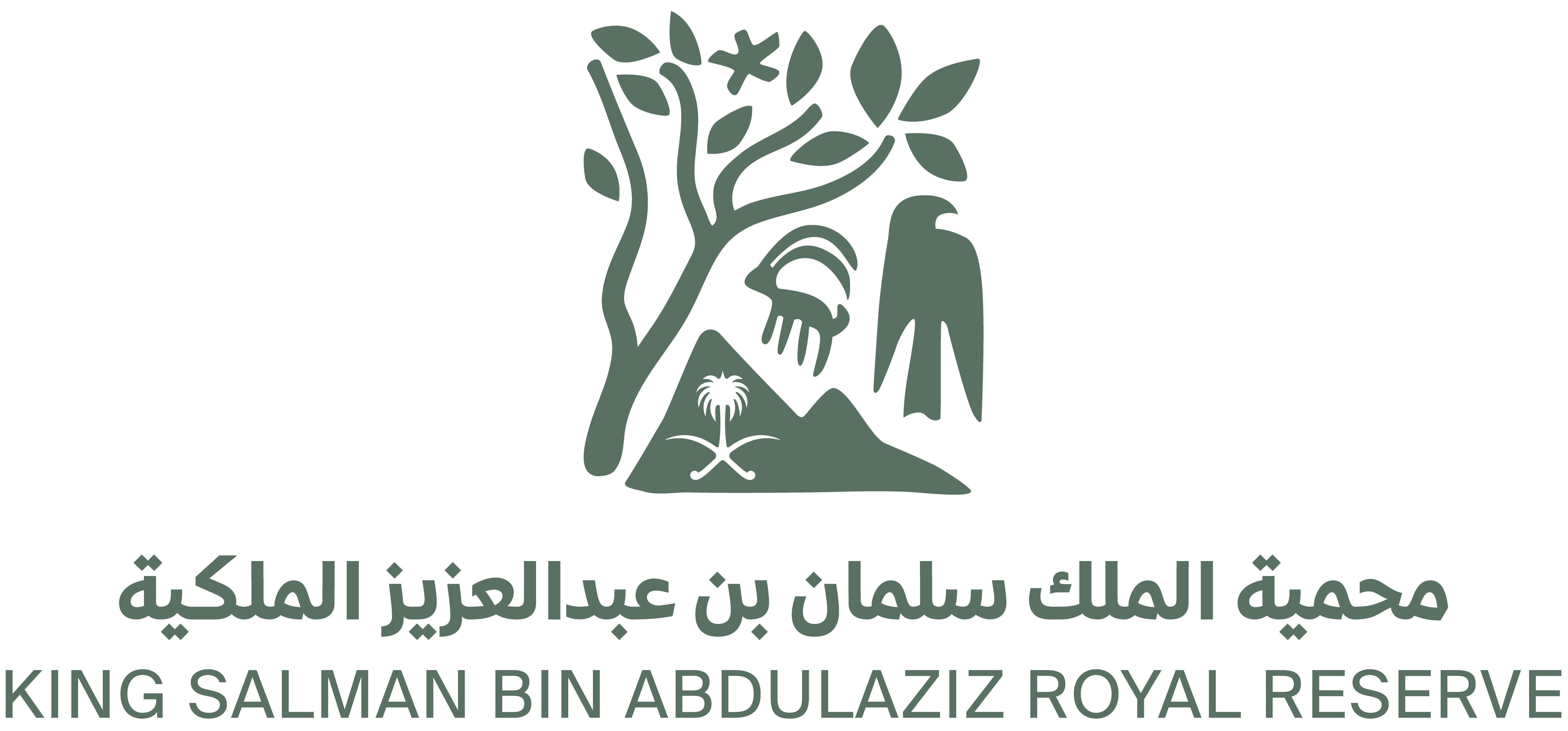 وظائف في محمية الملك سلمان الملكية